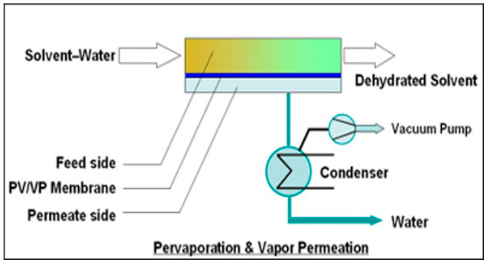 Pervaporation Membrane for Solvent Dehydration– TFT