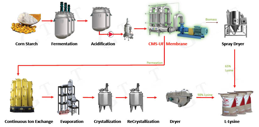 Membrane for L-Lysine Production